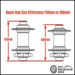 How to Overhaul a Freehub (Step by Step) | DIY Mountain Bike
