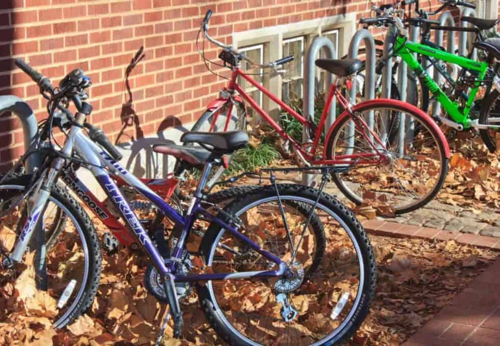 Mongoose Mountain Bike Gear Adjustment: A Complete Guide | DIY Mountain ...