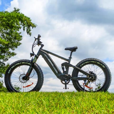 Himiway Cobra Electric Bike Review (Amazing Power with Full Suspension ...